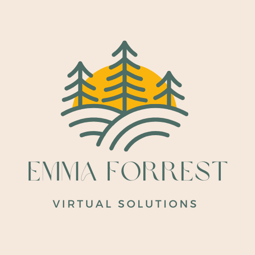 Virtual Assistant and online business manager