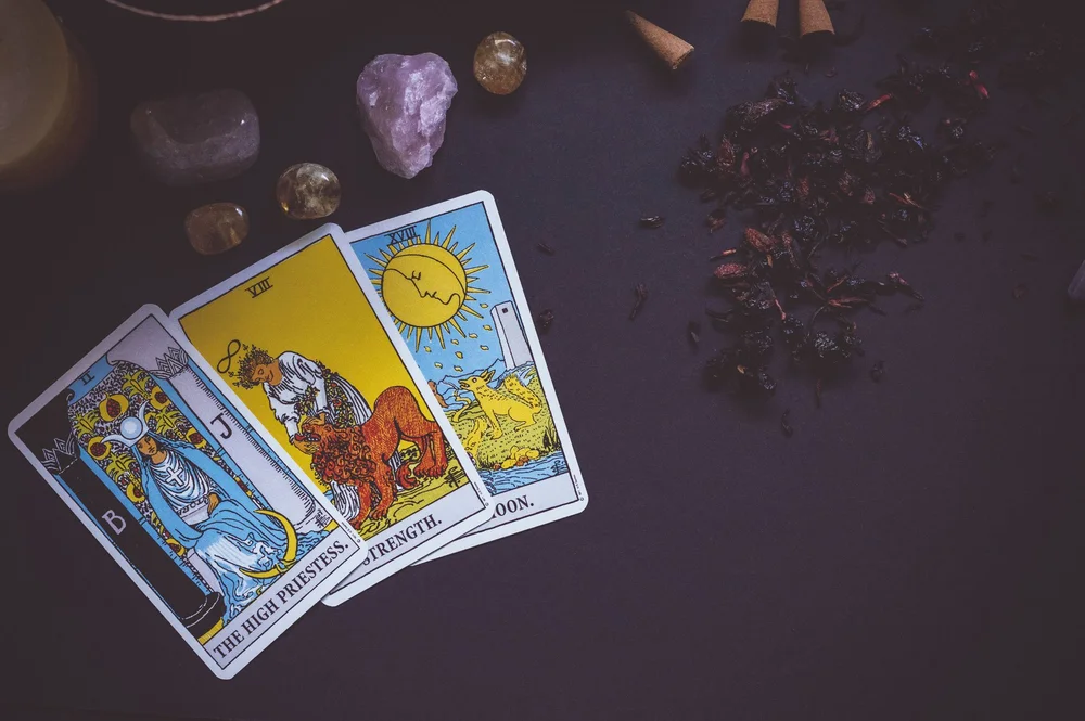 Services — Jess Carlson