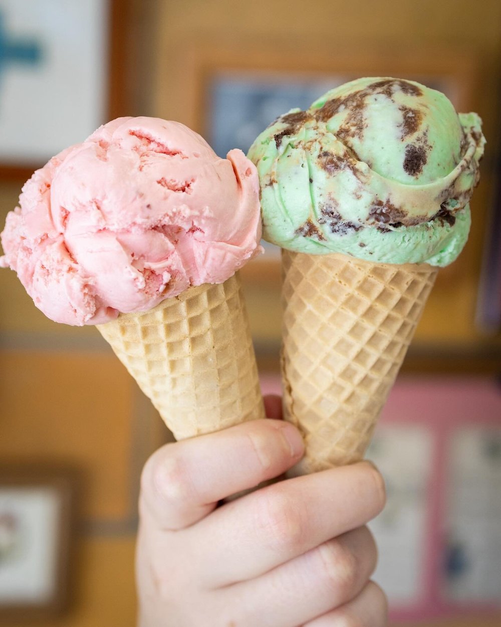 Plainwell Ice Cream Co.