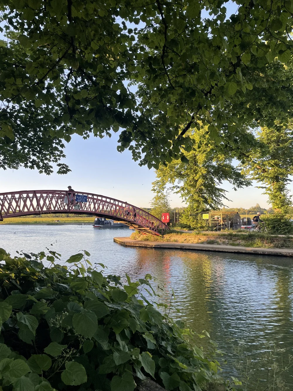 The Medley｜Seasonal Bar on the River Thames