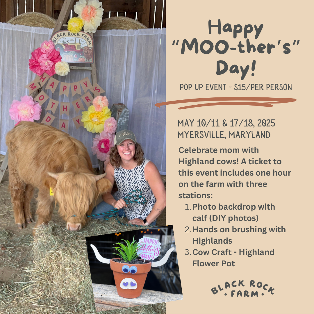 Happy "MOO-ther's" Day! — Black Rock Farm