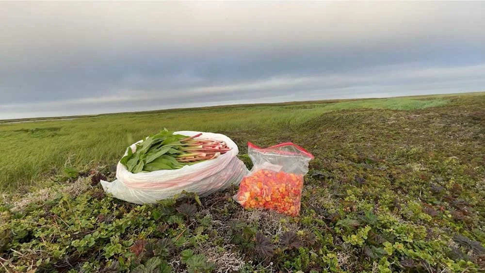 Chevak — Alaska Climate Justice Program | Alaska Institute for Justice