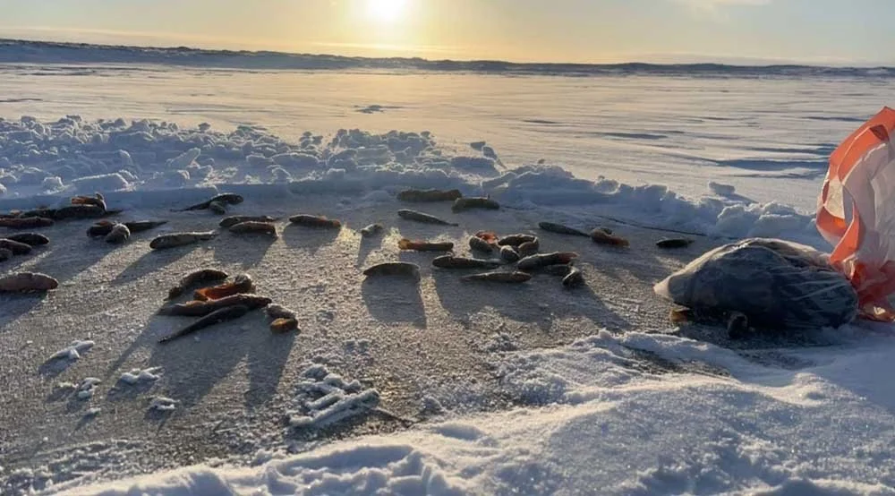 Chevak — Alaska Climate Justice Program | Alaska Institute for Justice