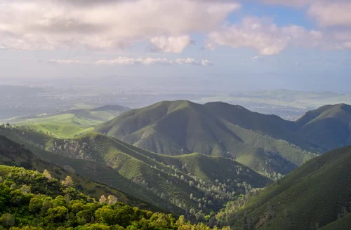Buy Now — Real California Mineral Water