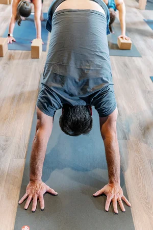 The Yoga Collaborative