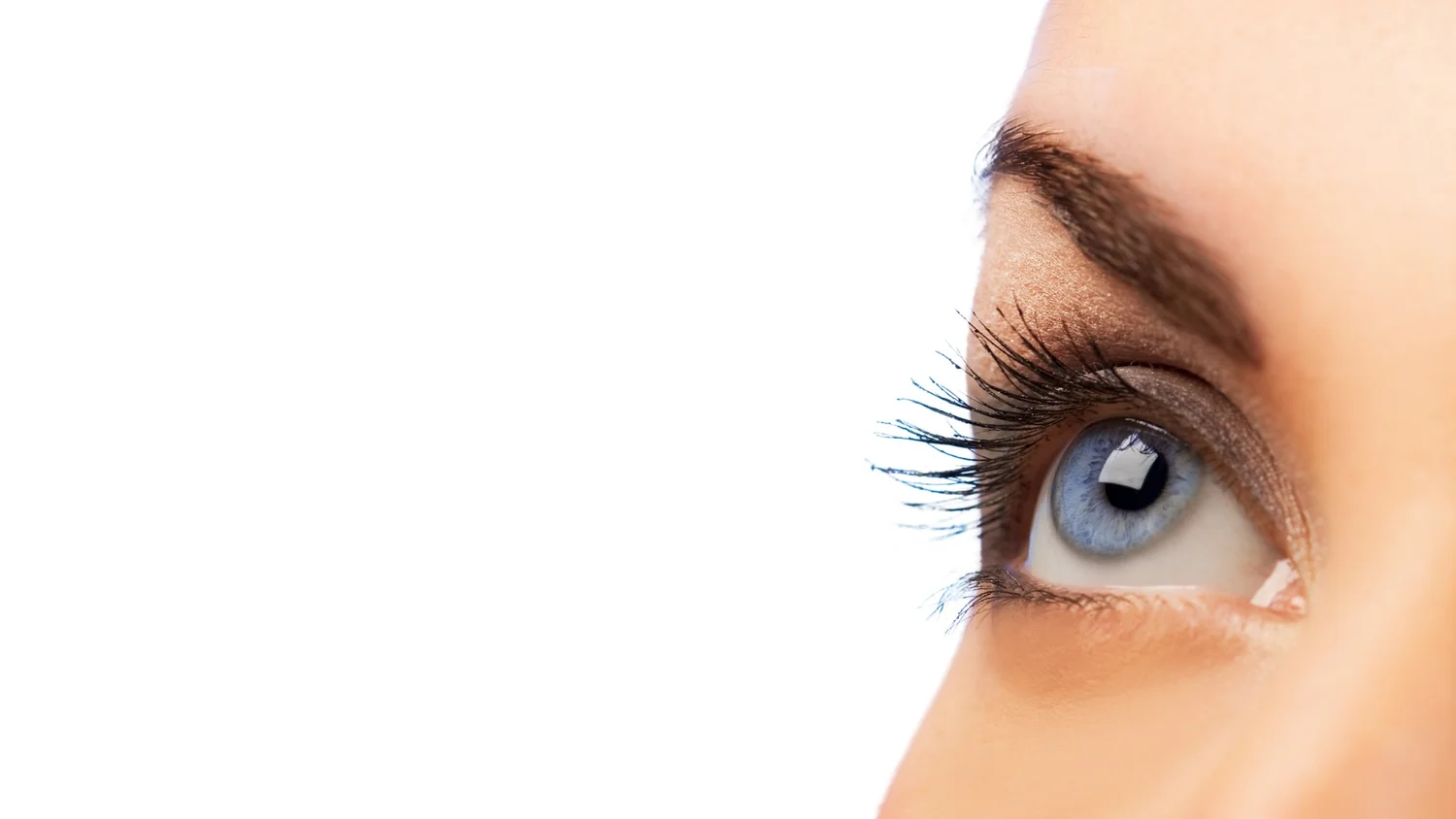 Eyelid Hygiene — Dry Eye Products — Dry Eye Clinic | Eye Care Solutions