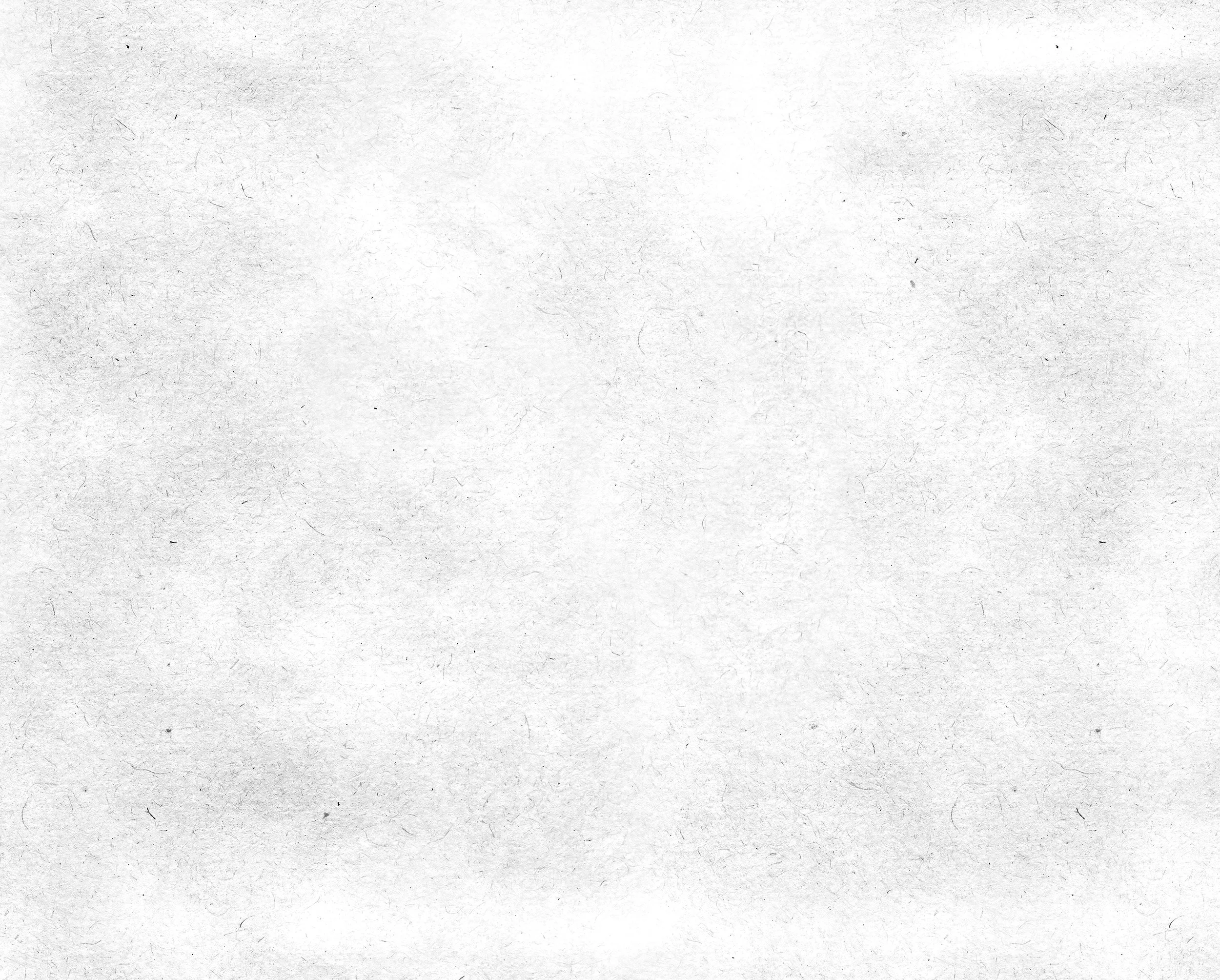 About — Andrea Armstrong