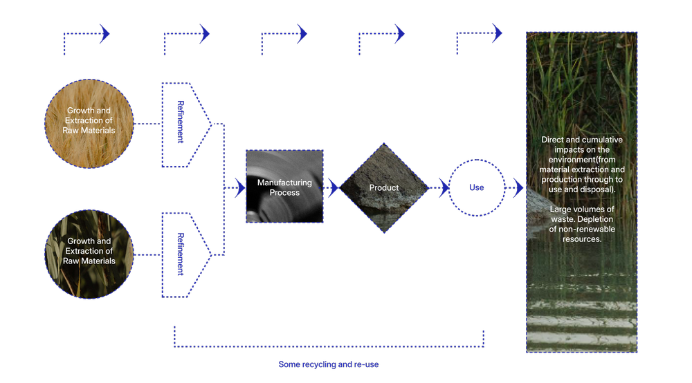 Black Soldier Fly as a synthetic biology platform — EntoZyme