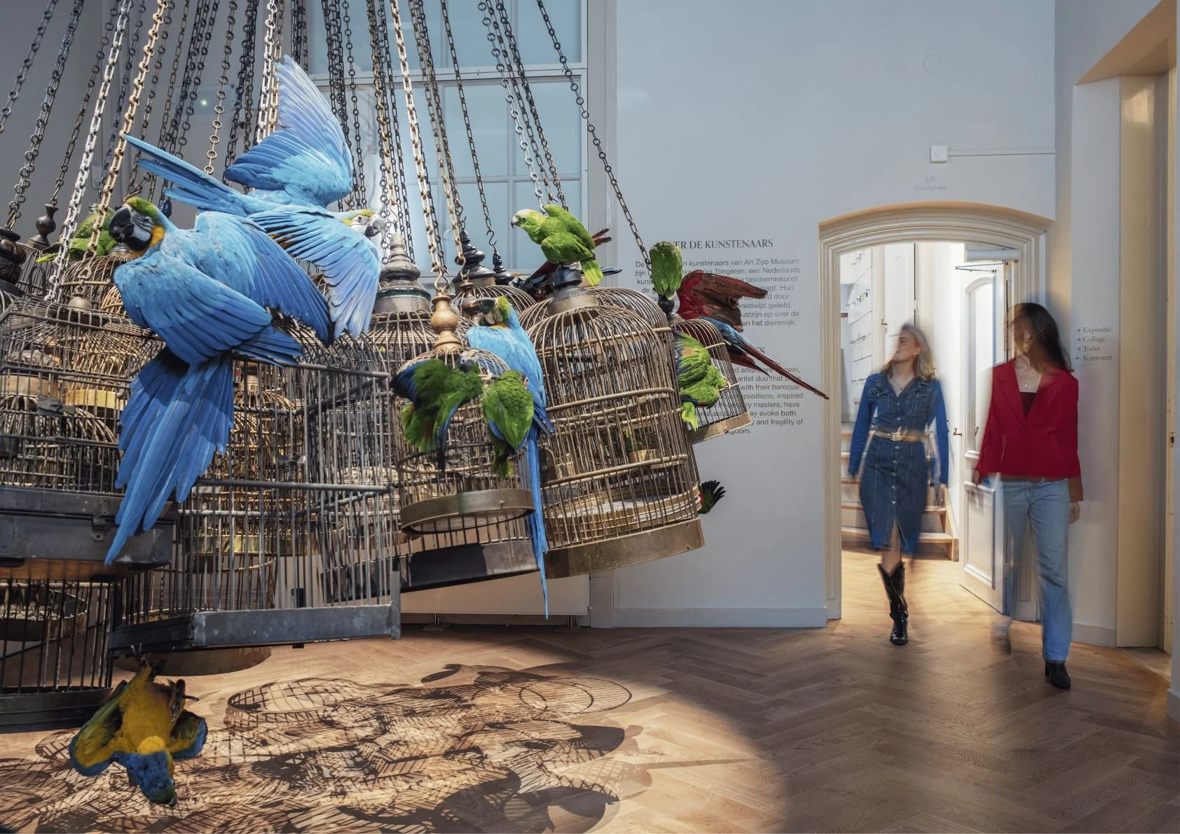 Plan je bezoek — Art Zoo Museum Amsterdam Amsterdam