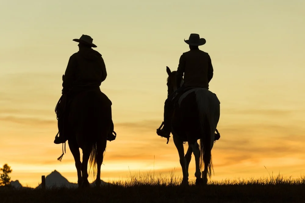 THE BOZEMAN GUIDE | Explore Bozeman Now