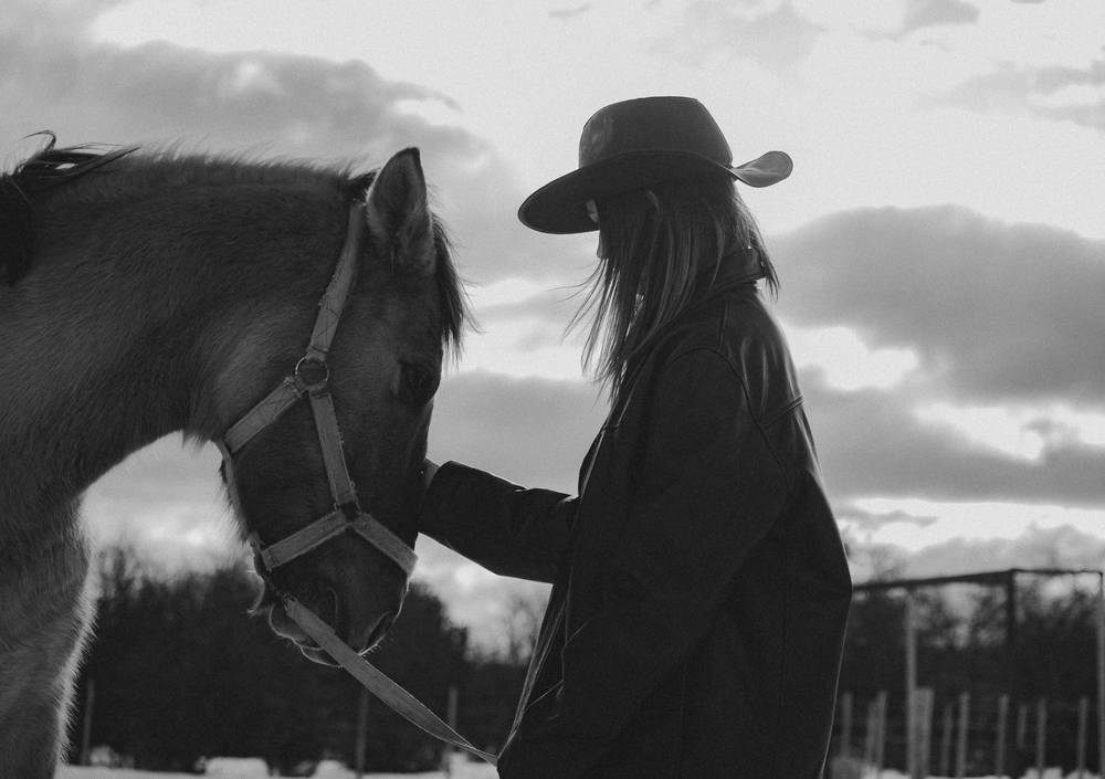 THE BOZEMAN GUIDE | Explore Bozeman Now