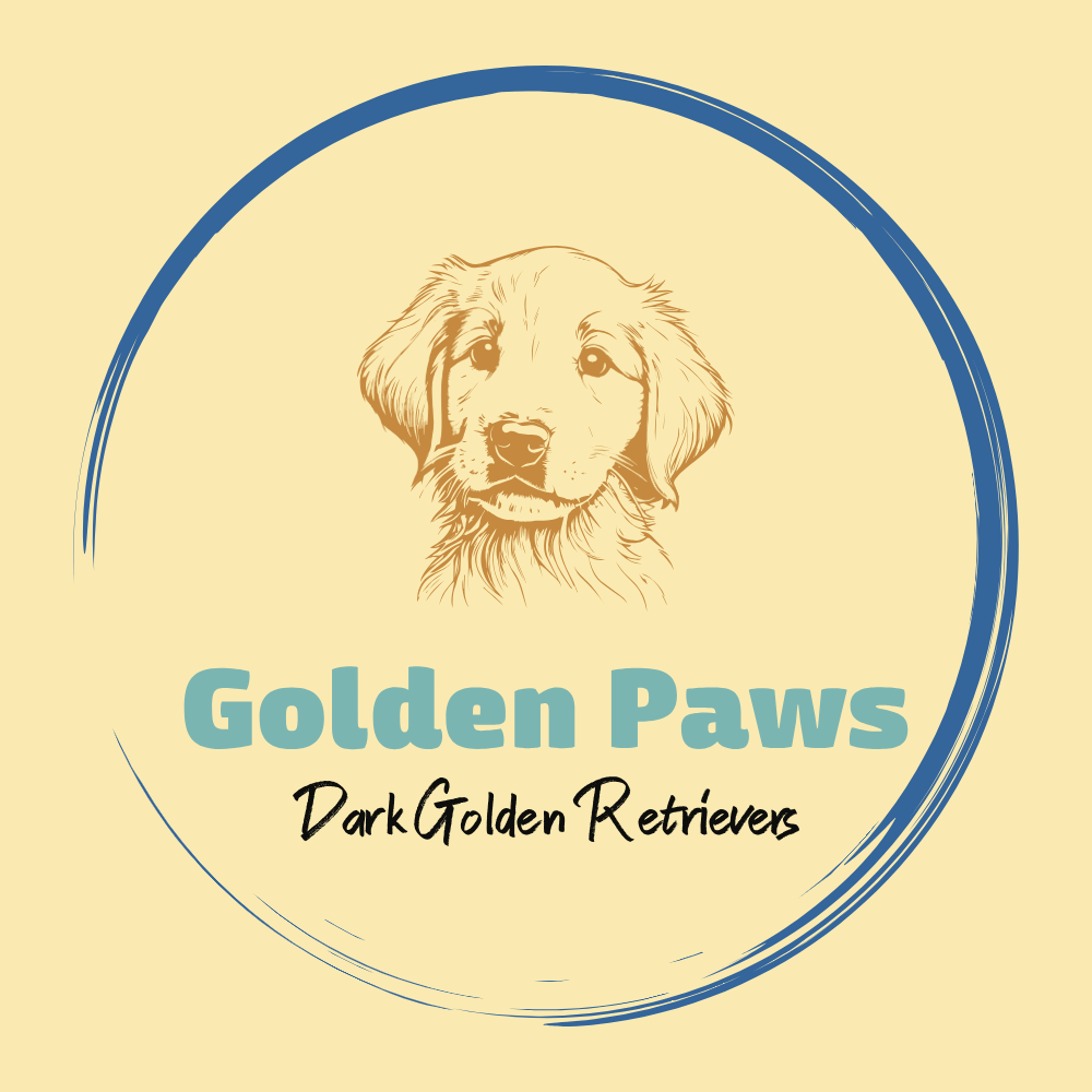 Common Health Risks — Golden Paws