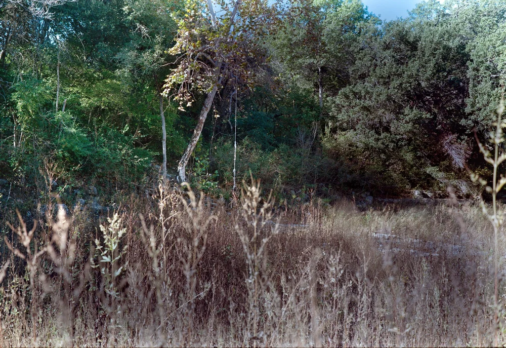 Scott Cobb