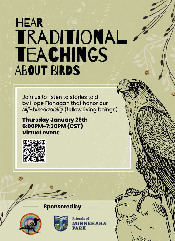 Traditional Teachings About Birds — Friends of Minnehaha Park