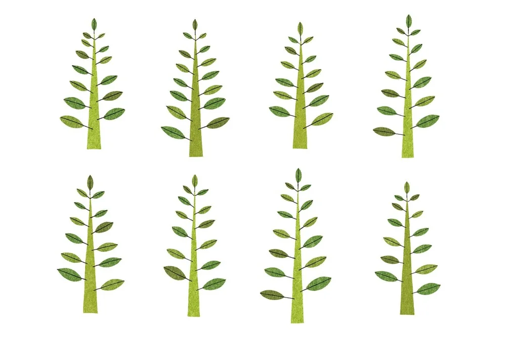 Waitrose | Brand Identity Case Study | Mytton Williams