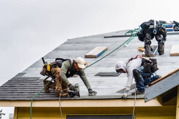 Genesis Roofing