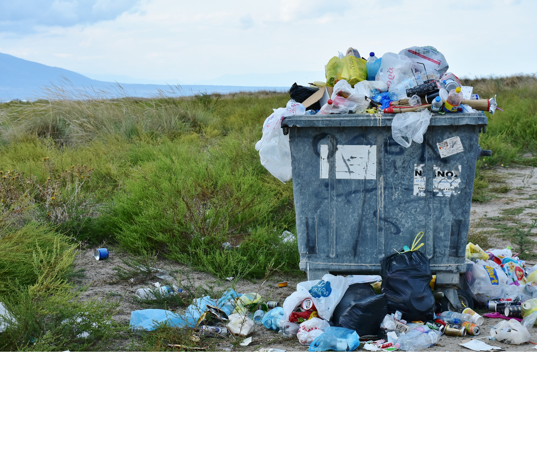 Plastic Reduction Alliance