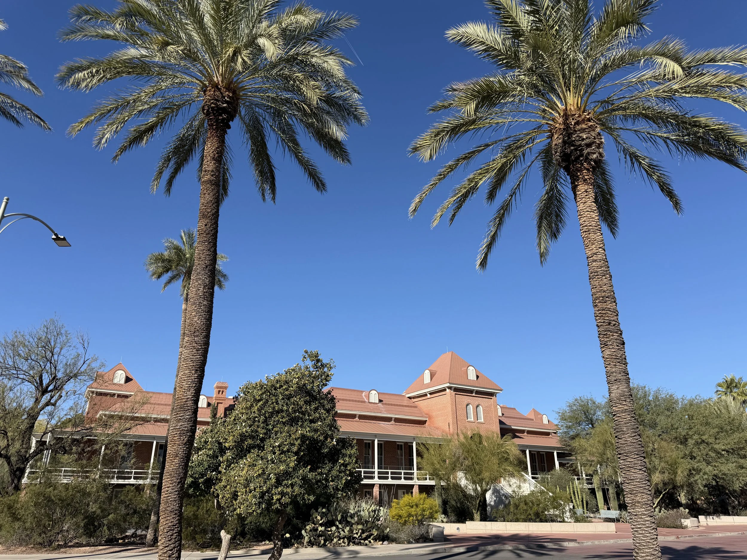 Junior Application Materials Review — Ask Dr. Hoffman