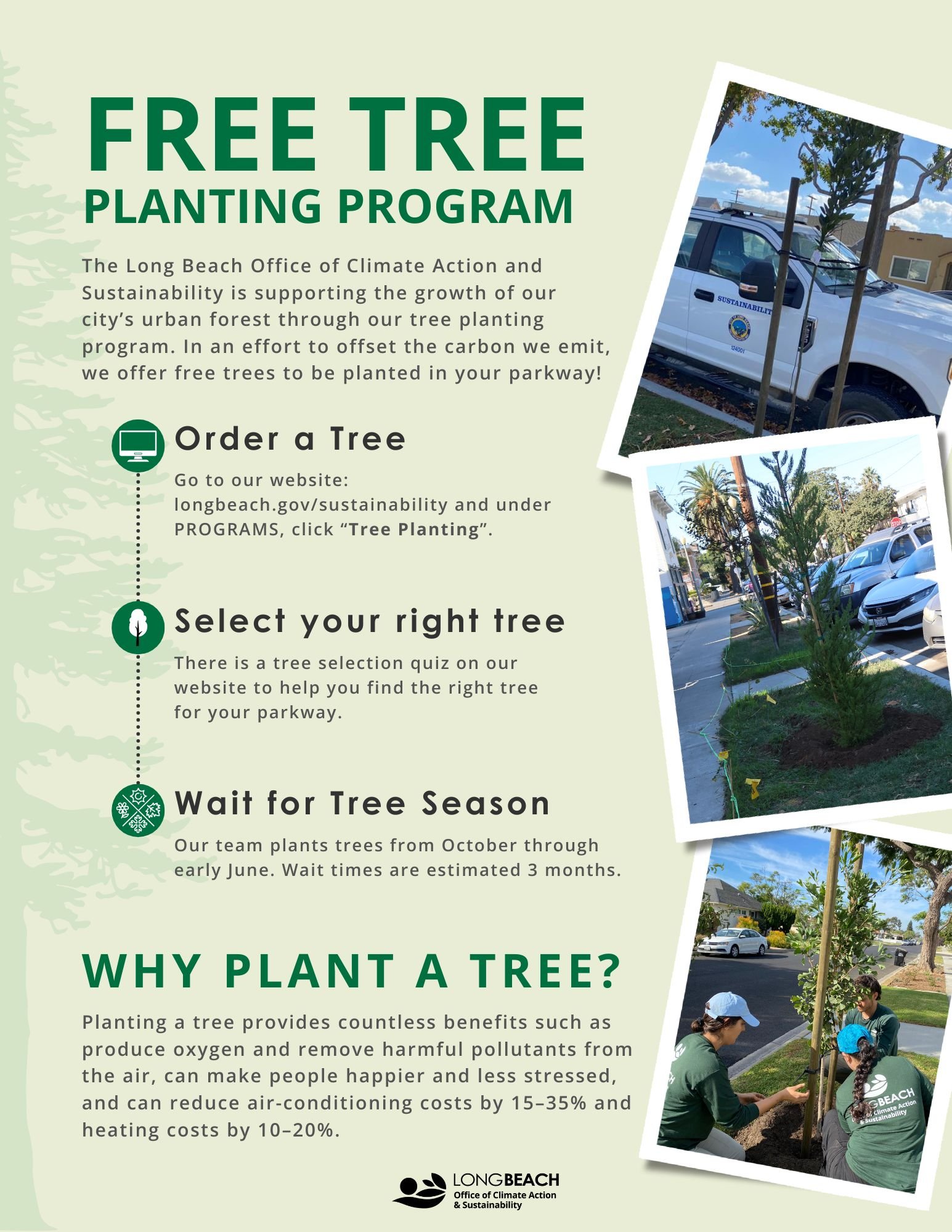 Graphic Design — Grant Your Wish Studio