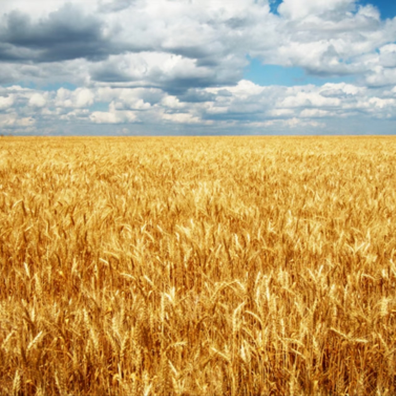 From Sea to Shining Sea