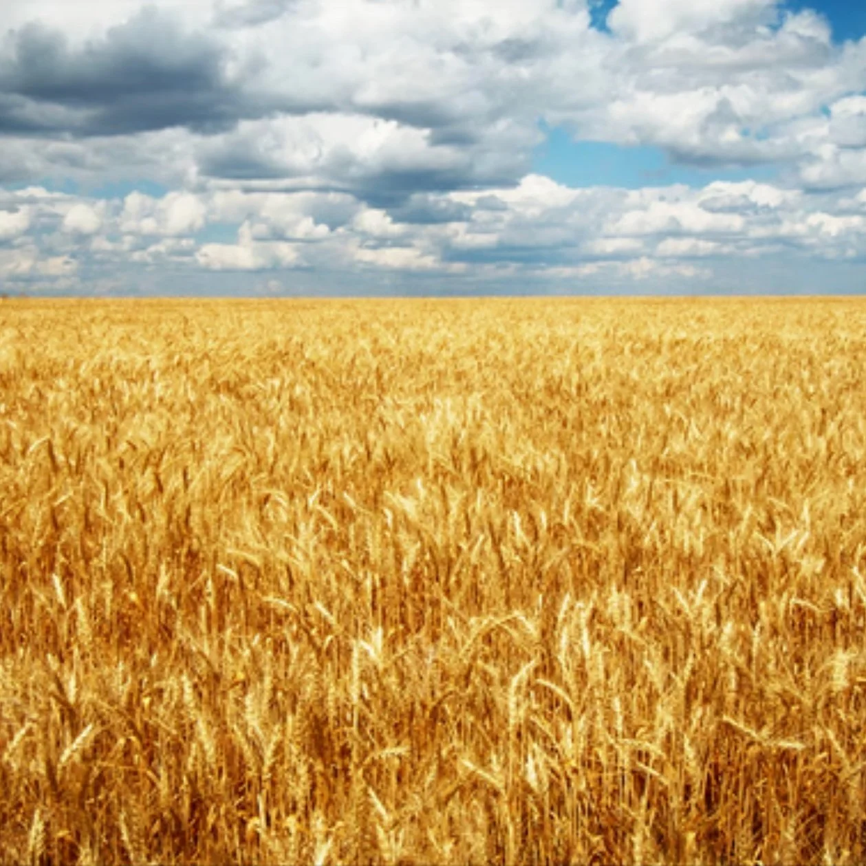 From Sea to Shining Sea