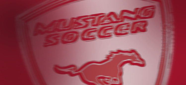 Mustang Soccer League