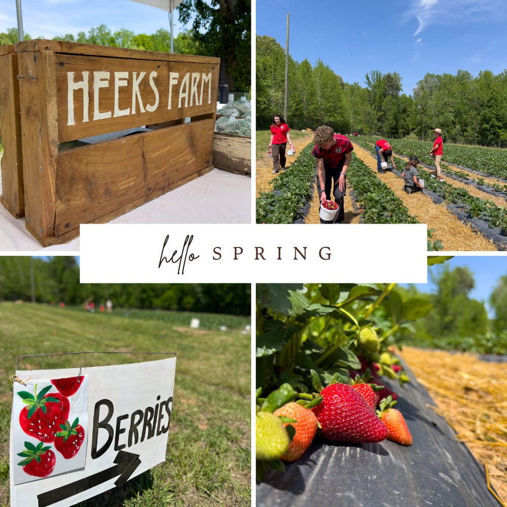 Heeks Farm – Pick-Your-Own Strawberries Near Durham, NC | U-Pick Farm