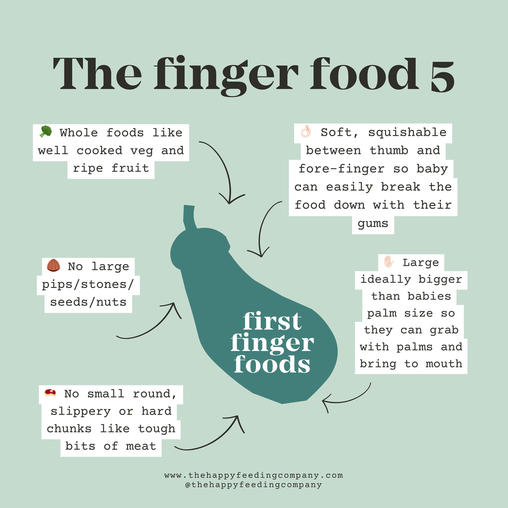 The ‘Finger Food 5’ — The Happy Feeding Company - Baby + Child Dietitian