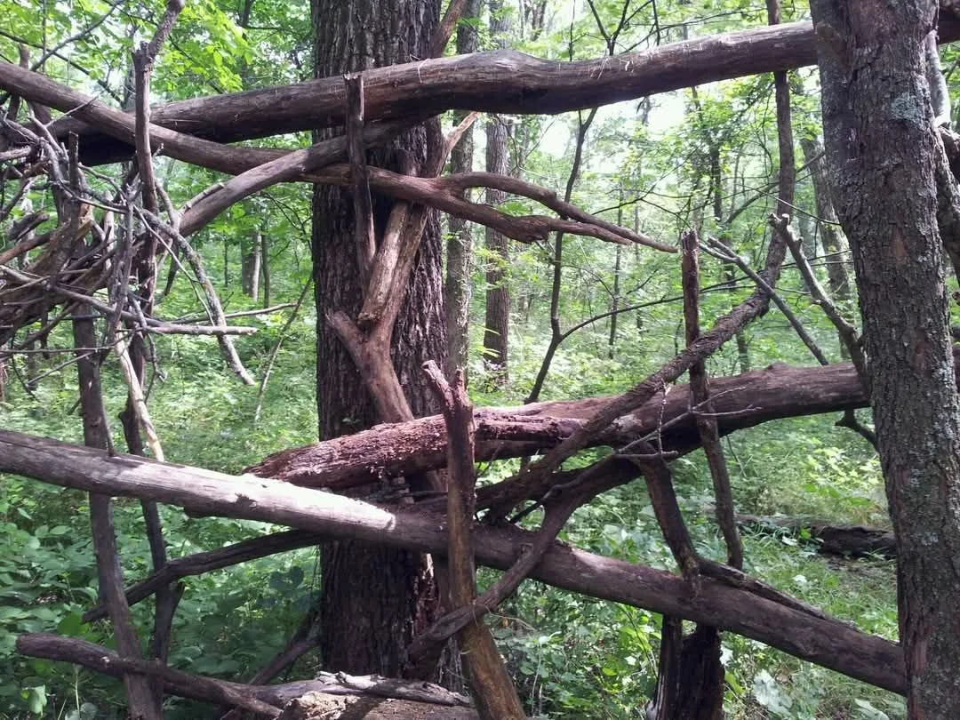 Calendar | Discover Upcoming Events — Gaea Retreat Center