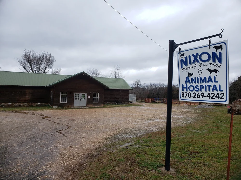 Nixon Animal Hospital — Life in Mountain View