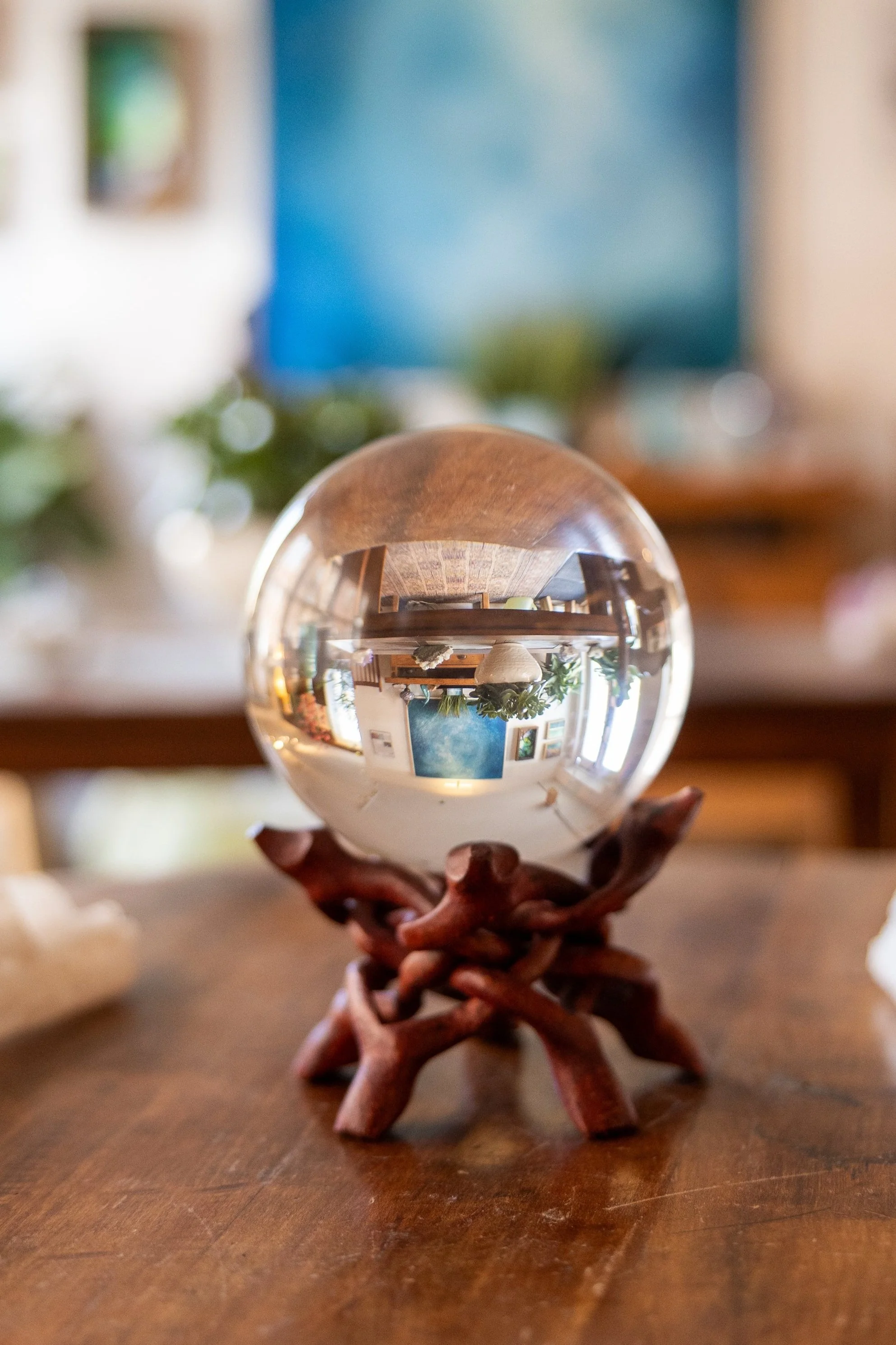 Offerings — Anne Donnell