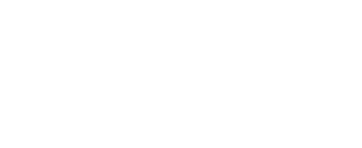 Customer Support — Selcom Pesa