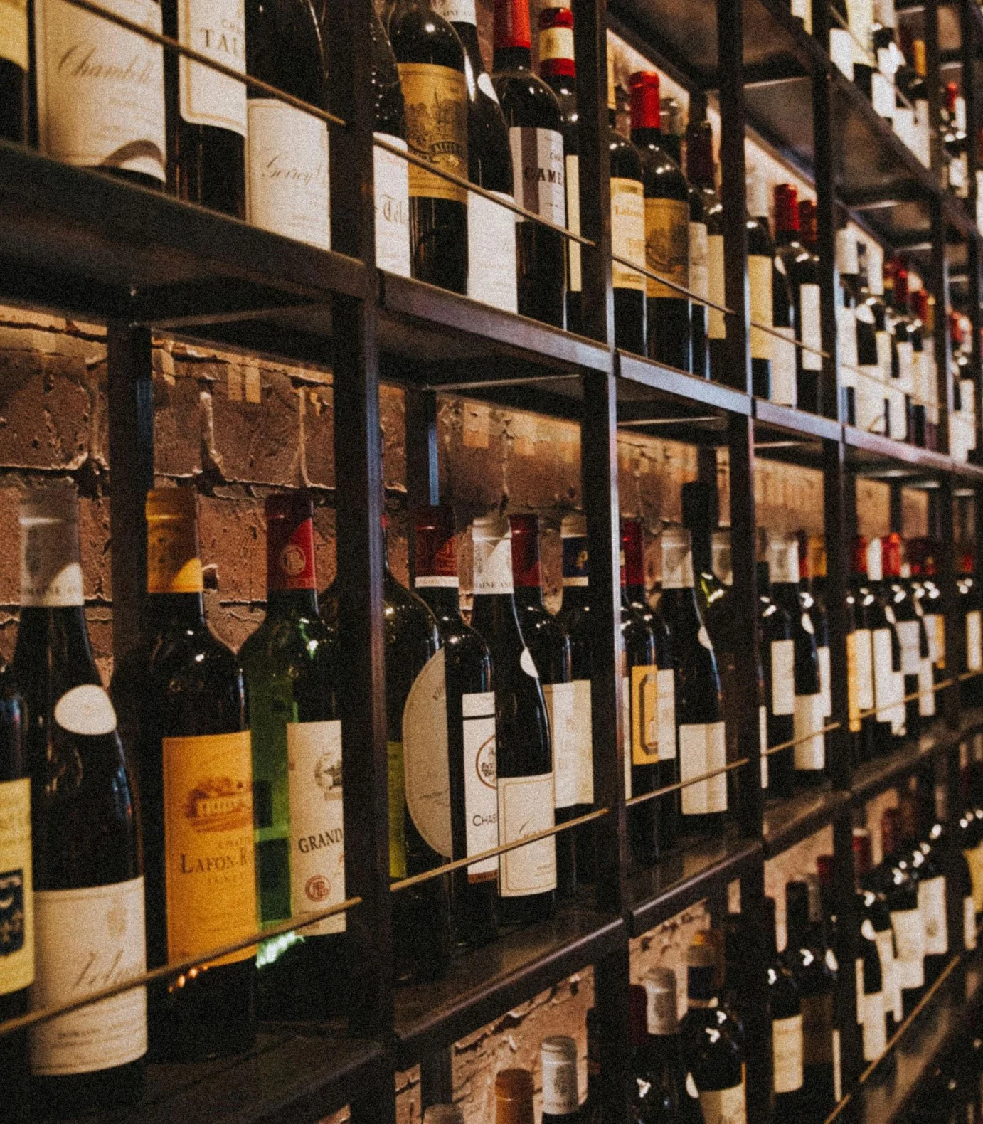 Molto Wine Bar — Mulch | Branding and Design, Hobart Tasmania