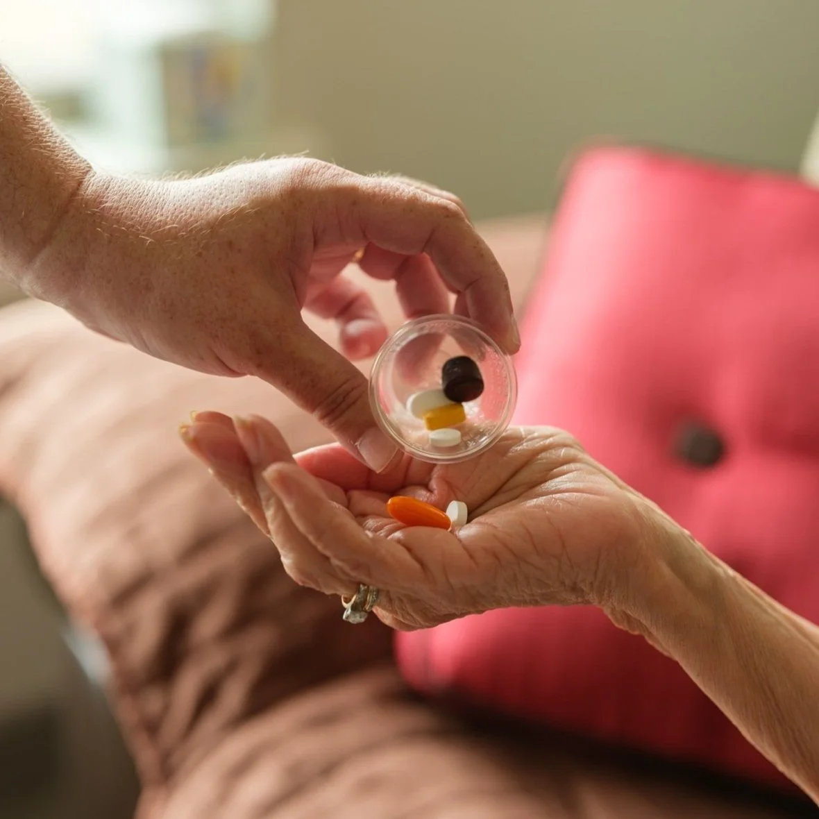 About | Discover Care Options — Contact Us Today - Best In-Home Care