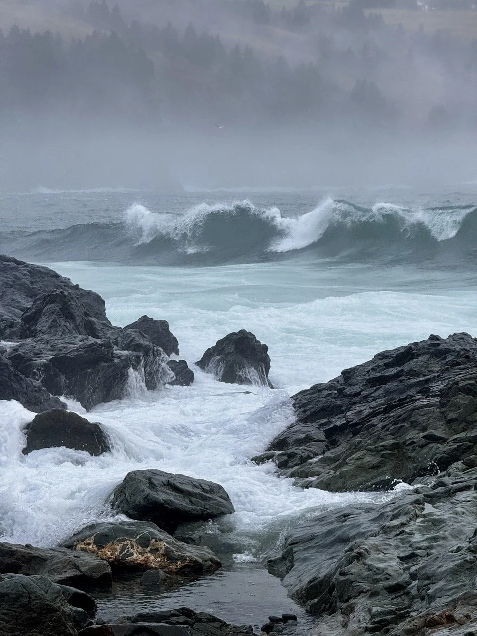 About Eddie Sheerr & NL Weather Forecasts — Sheerr Weather