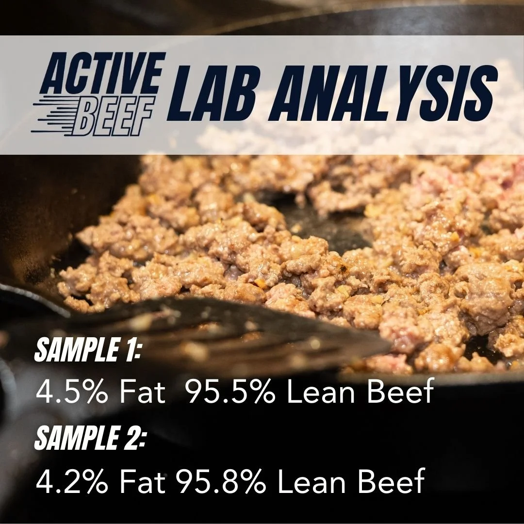 Lean Ground Beef: What does 95/5 Mean? — ActiveBeef