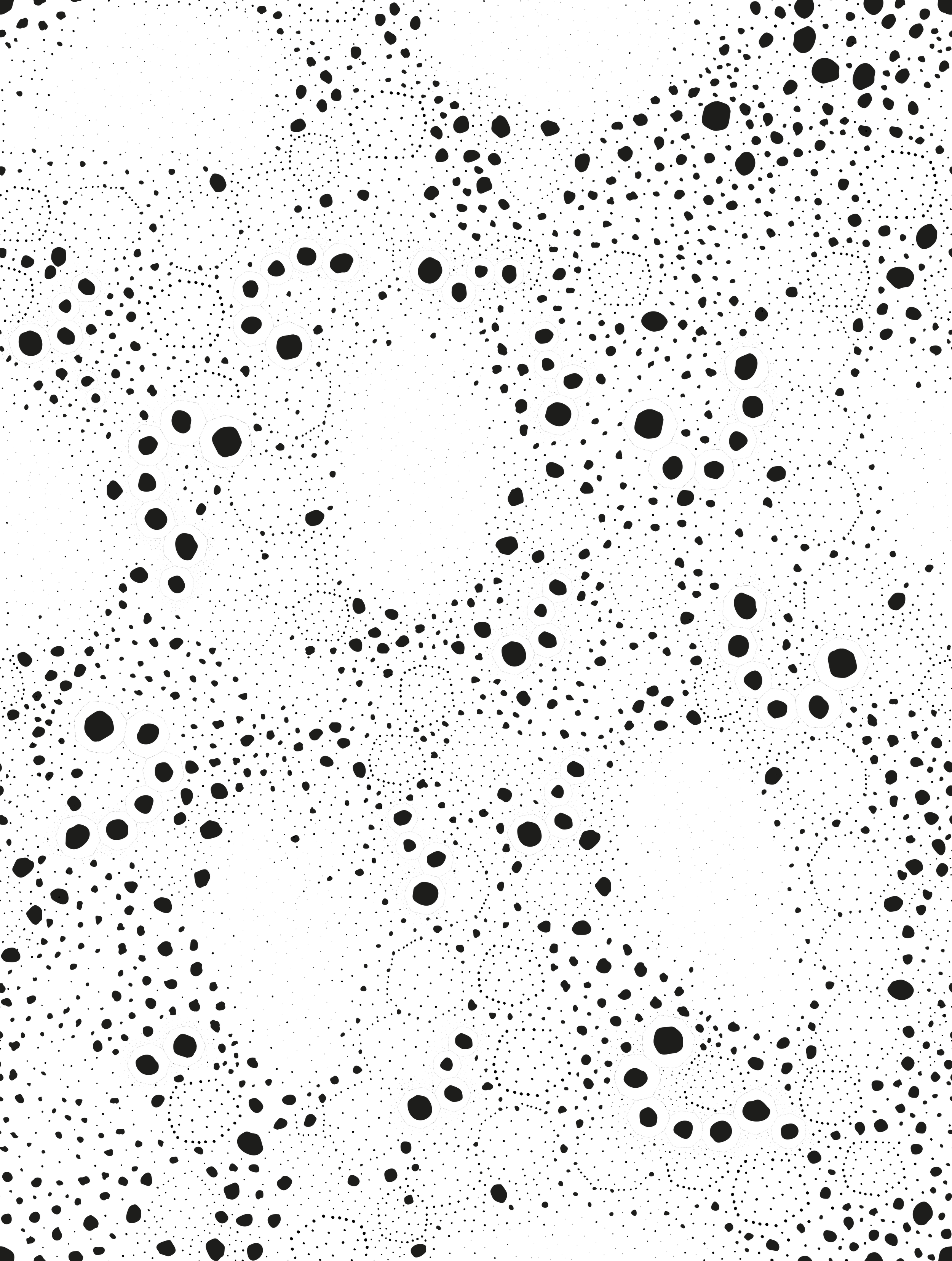 Nobisan l La nouvelle sensation Temaki à Paris