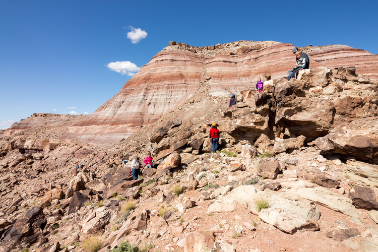 Fossil Point Dino Bones — Green River Rocks
