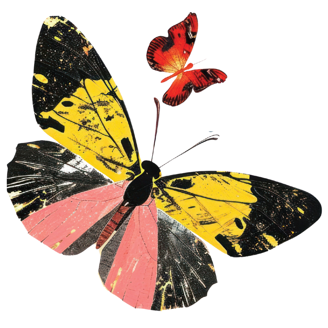 Not Your Rescue Project Book