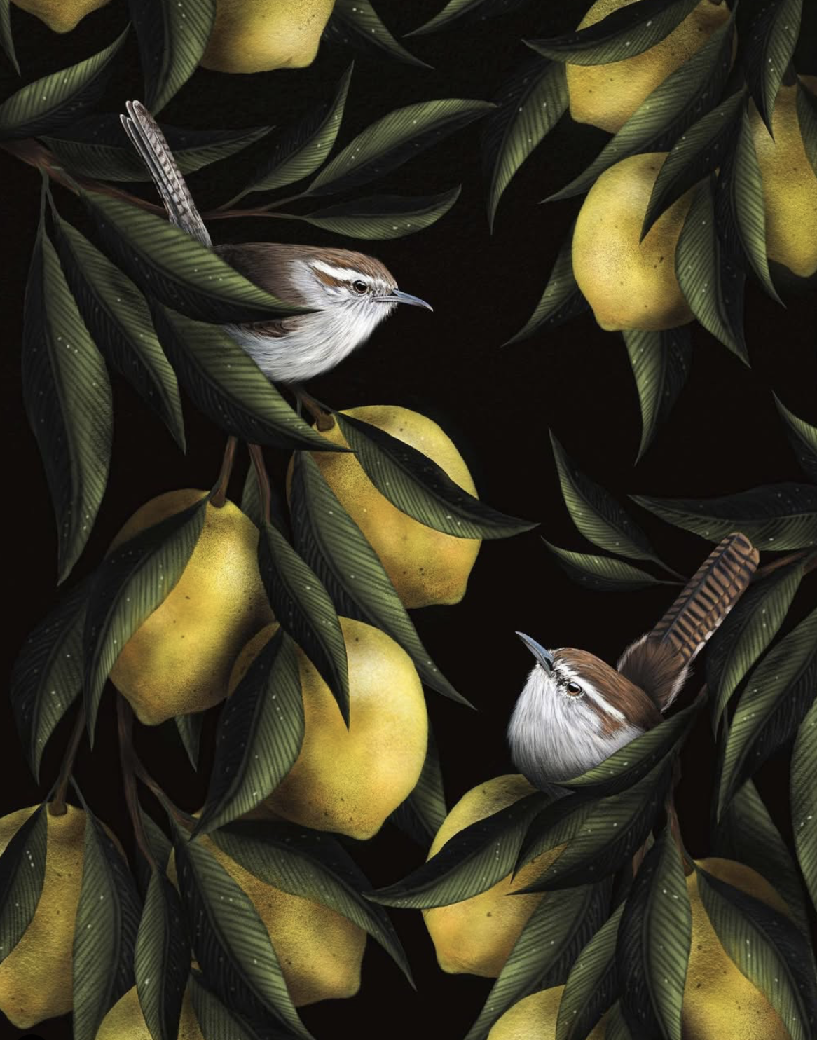 Willard Art and Frame | Explore Art & Frame Today