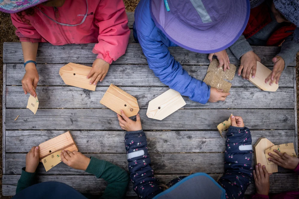 Tuition Adjustment Program — Berkeley Rose Waldorf School