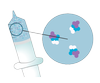 The Science of SkinTE® | Autologous Regenerative Skin Therapy for ...