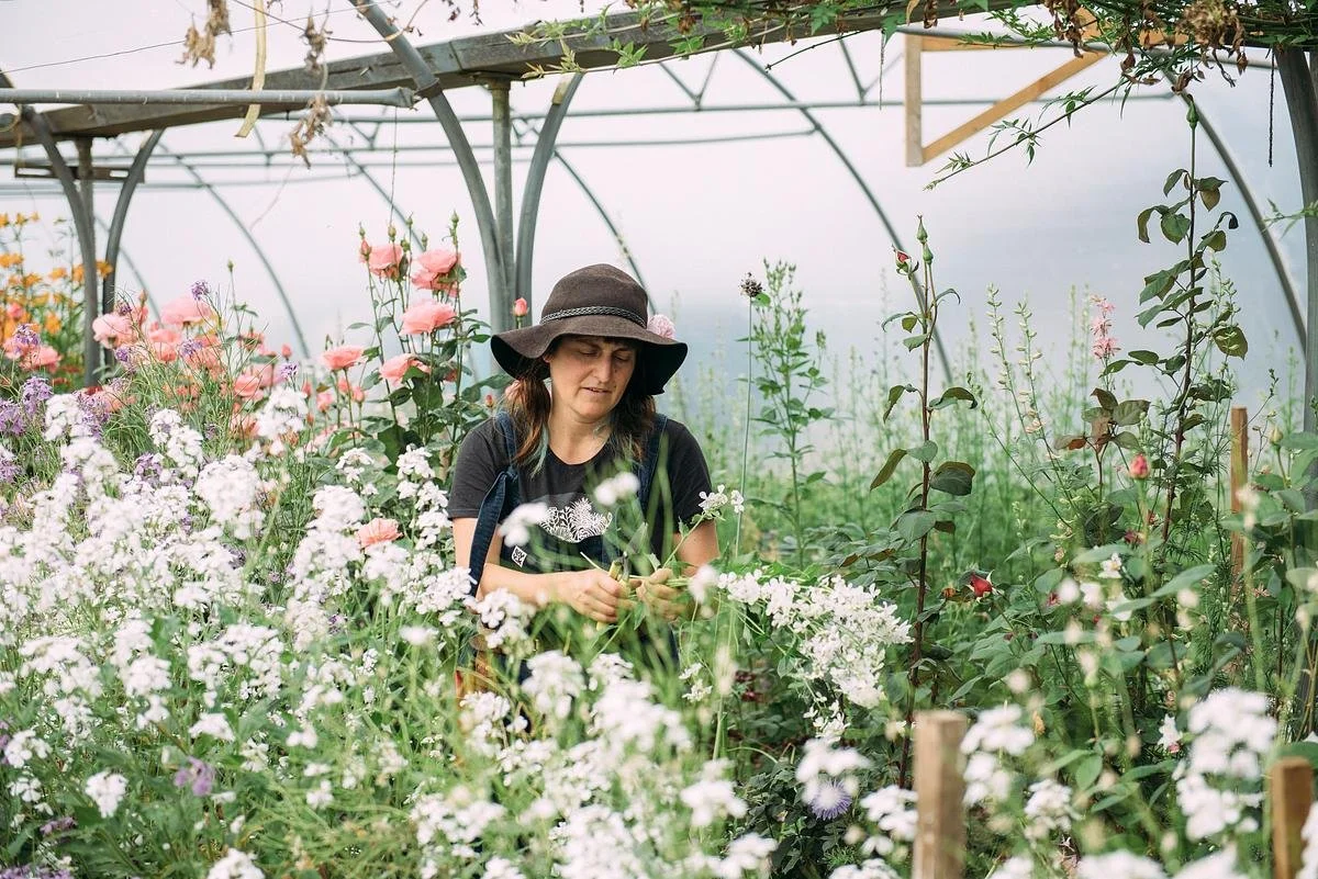 UK Flower Grower Directory — Flower Grower Collective