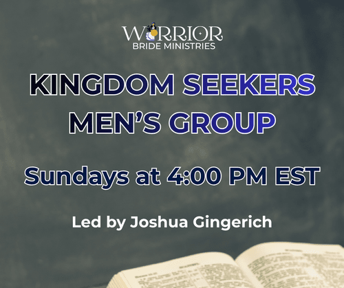 Kingdom Seekers Men's Group — Warrior Bride Ministries