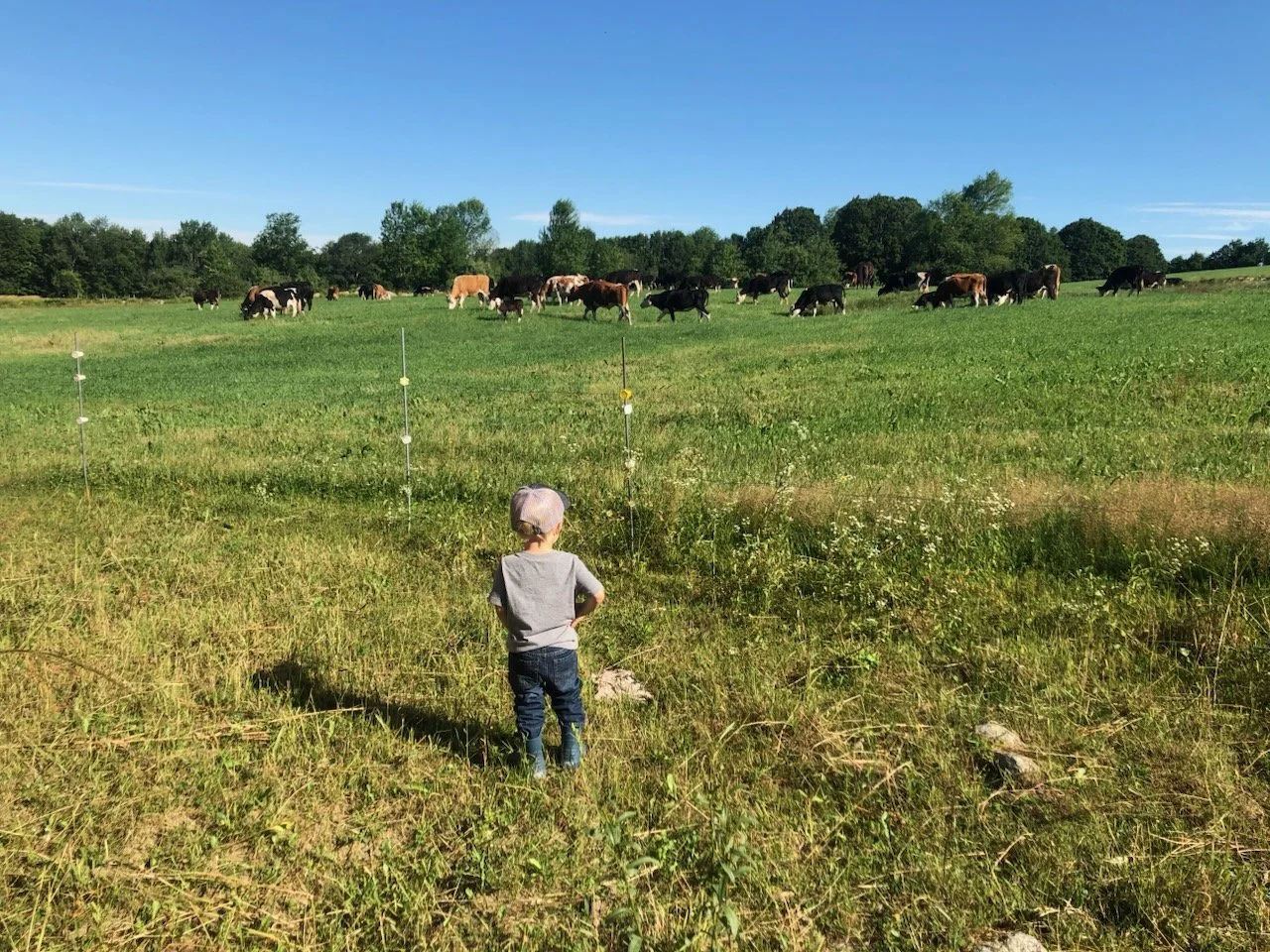 Contact — Potter Farms est. 1781