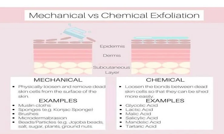 What are the differences between mechanical and chemical skin ...
