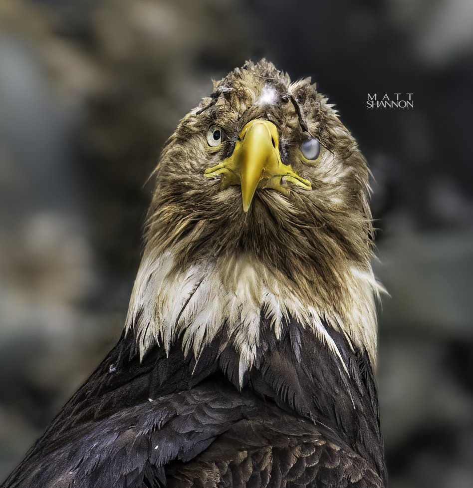 All Workshops — Matt Shannon Photography