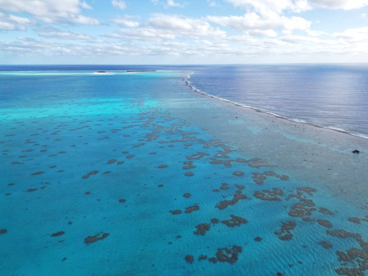Dive Aitutaki