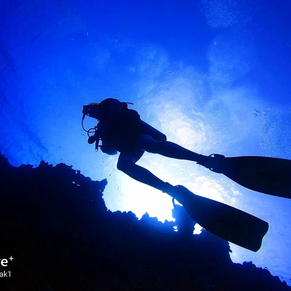 Services — Dive Aitutaki