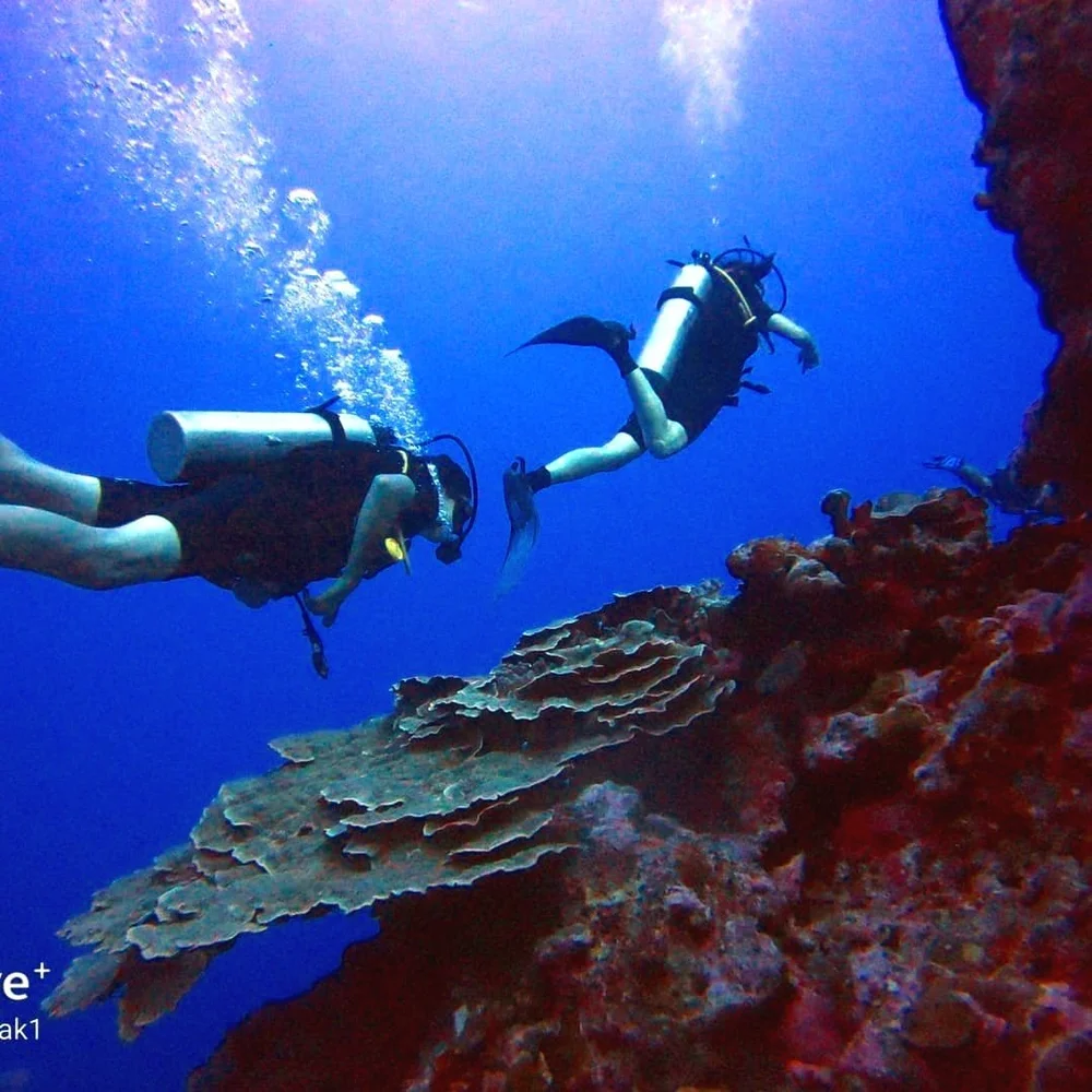 Dive Aitutaki